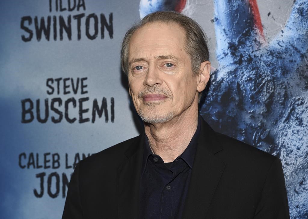 Person charged in random assault on actor Steve Buscemi in New York ...