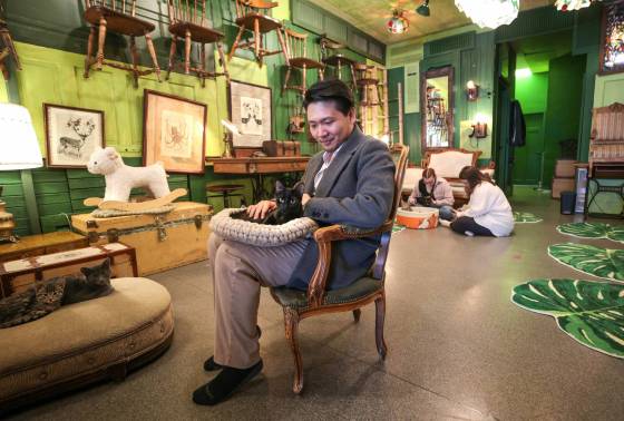 Coming to Osborne Village: the purr-fect cup of coffee – Winnipeg Free ...