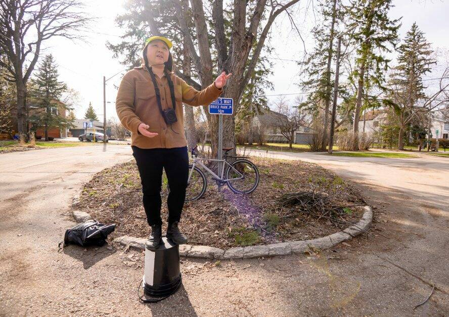 Finding new paths in familiar places – Winnipeg Free Press