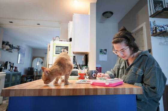 A must-read for all cat-lovers – Winnipeg Free Press