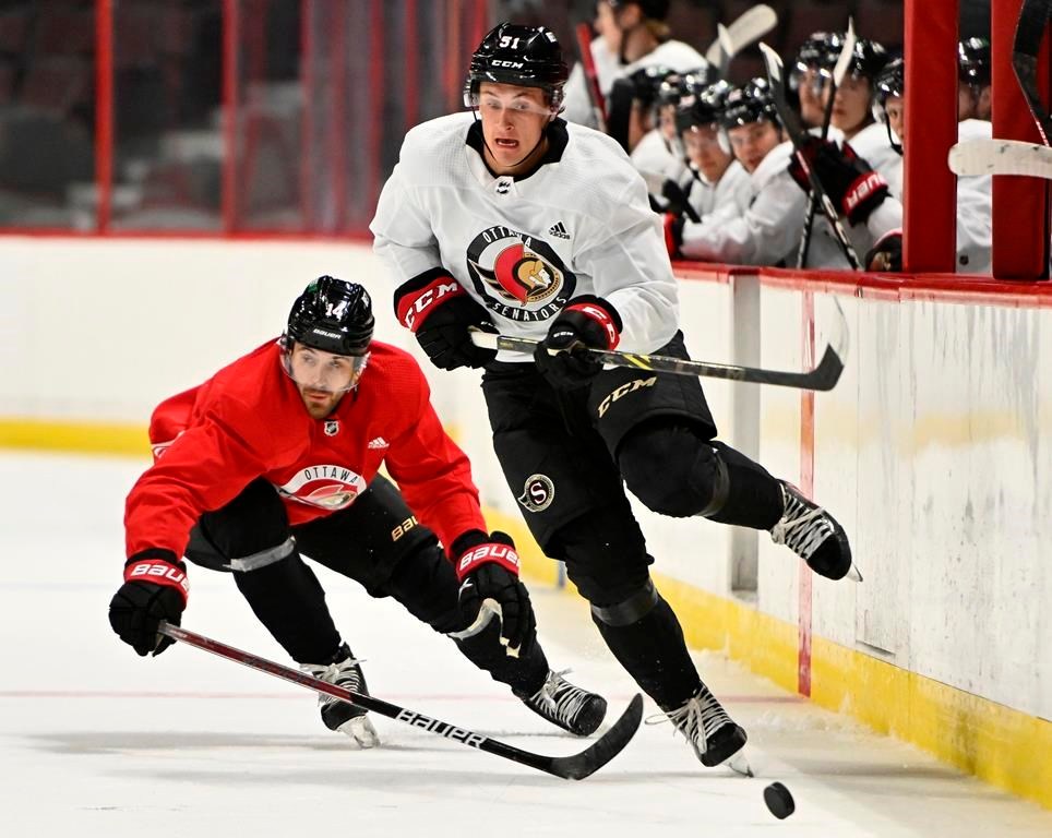 Senators sign forward Cole Reinhardt to one-year, two-way contract ...