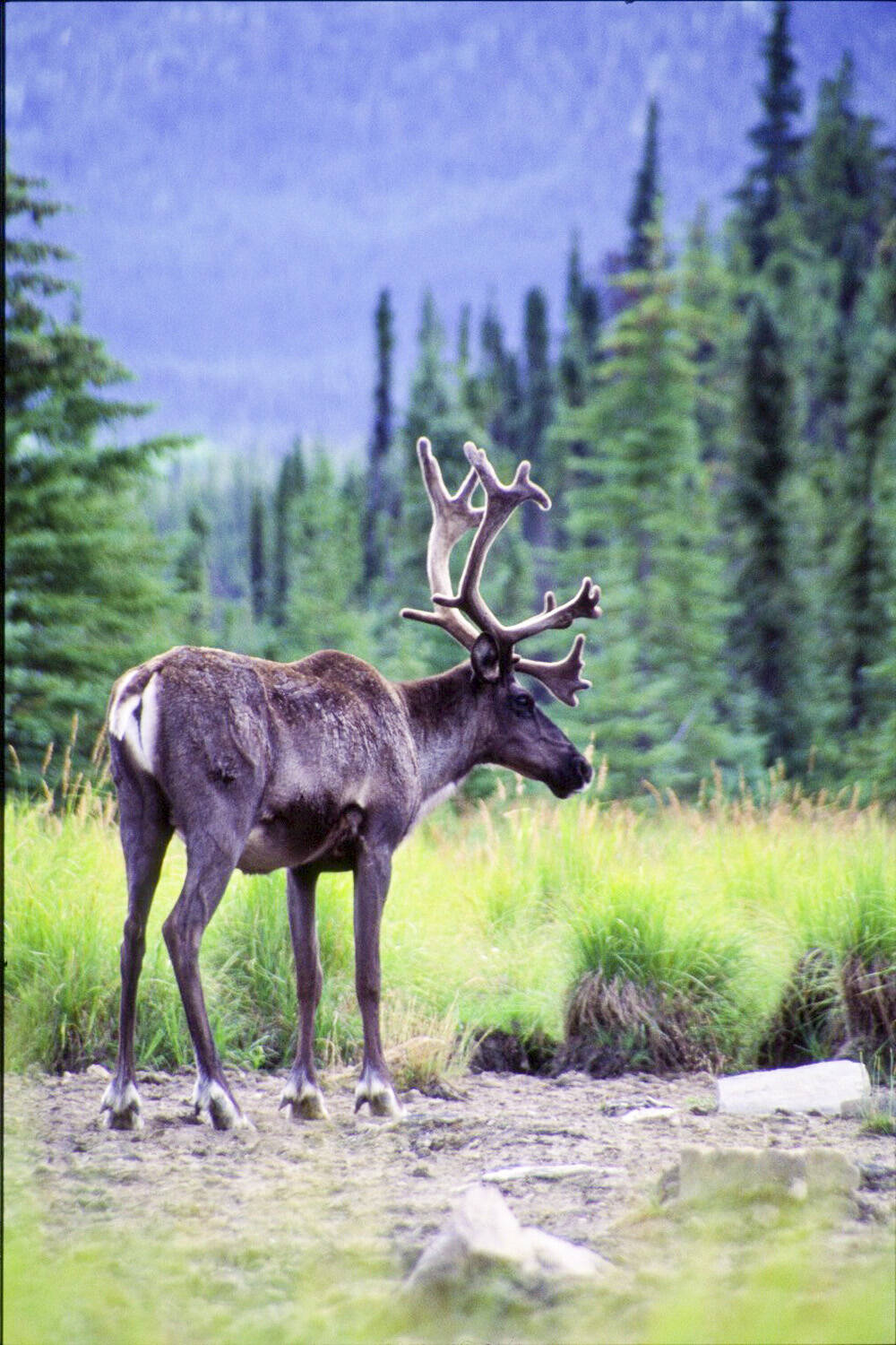 Blind ambition – Winnipeg Free Press