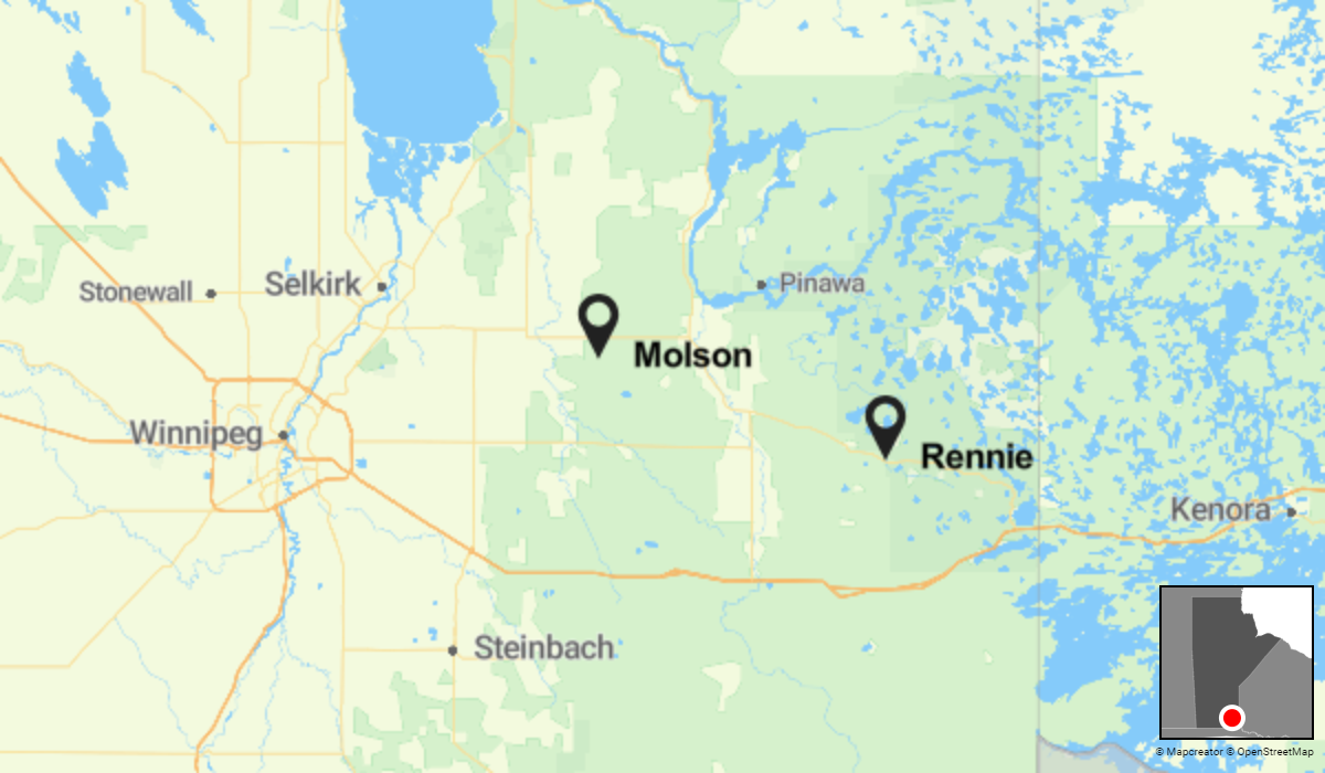 No foul play suspected in death of Winnipeg woman – Winnipeg Free Press