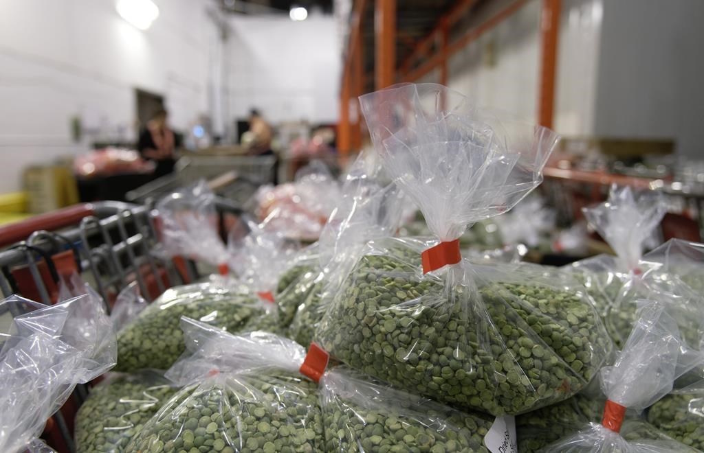 Saskatchewan food bank says it’s prepared to reduce hampers by half ...