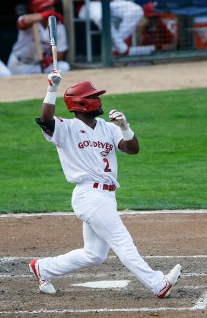 Sports – Winnipeg Free Press