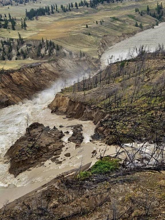 B.C. government considers ‘Plan B’ if salmon need help through ...