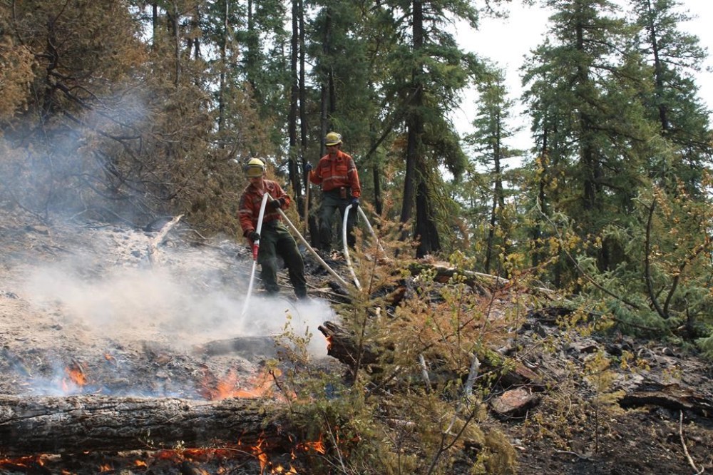 B.C. wildfire costs reach about $387 million so far this year, wildfire ...
