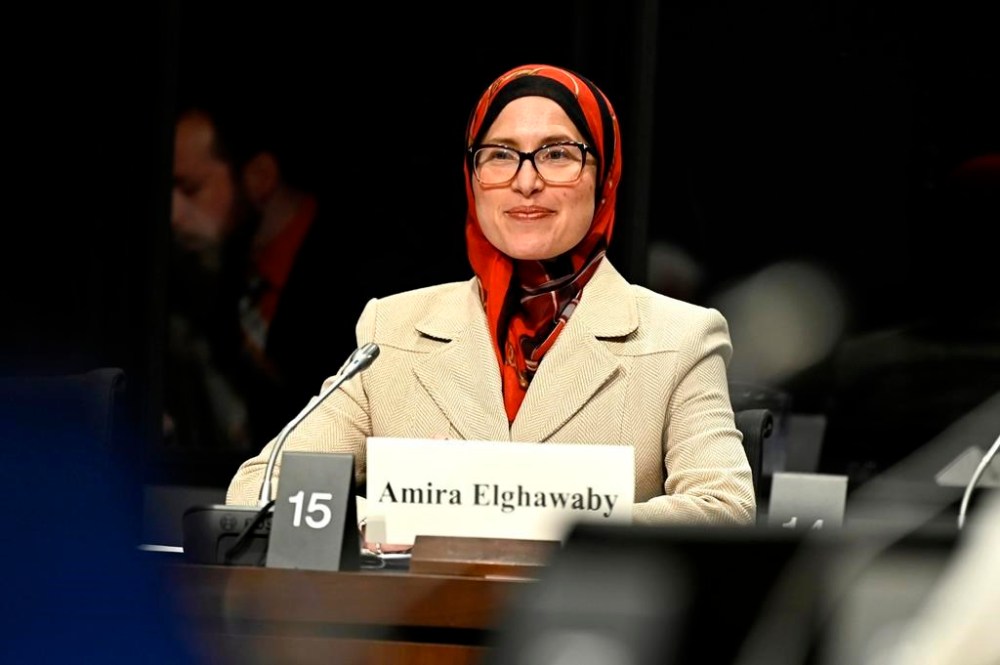 Call for more Muslim professors: Quebec says anti-Islamophobia adviser ...