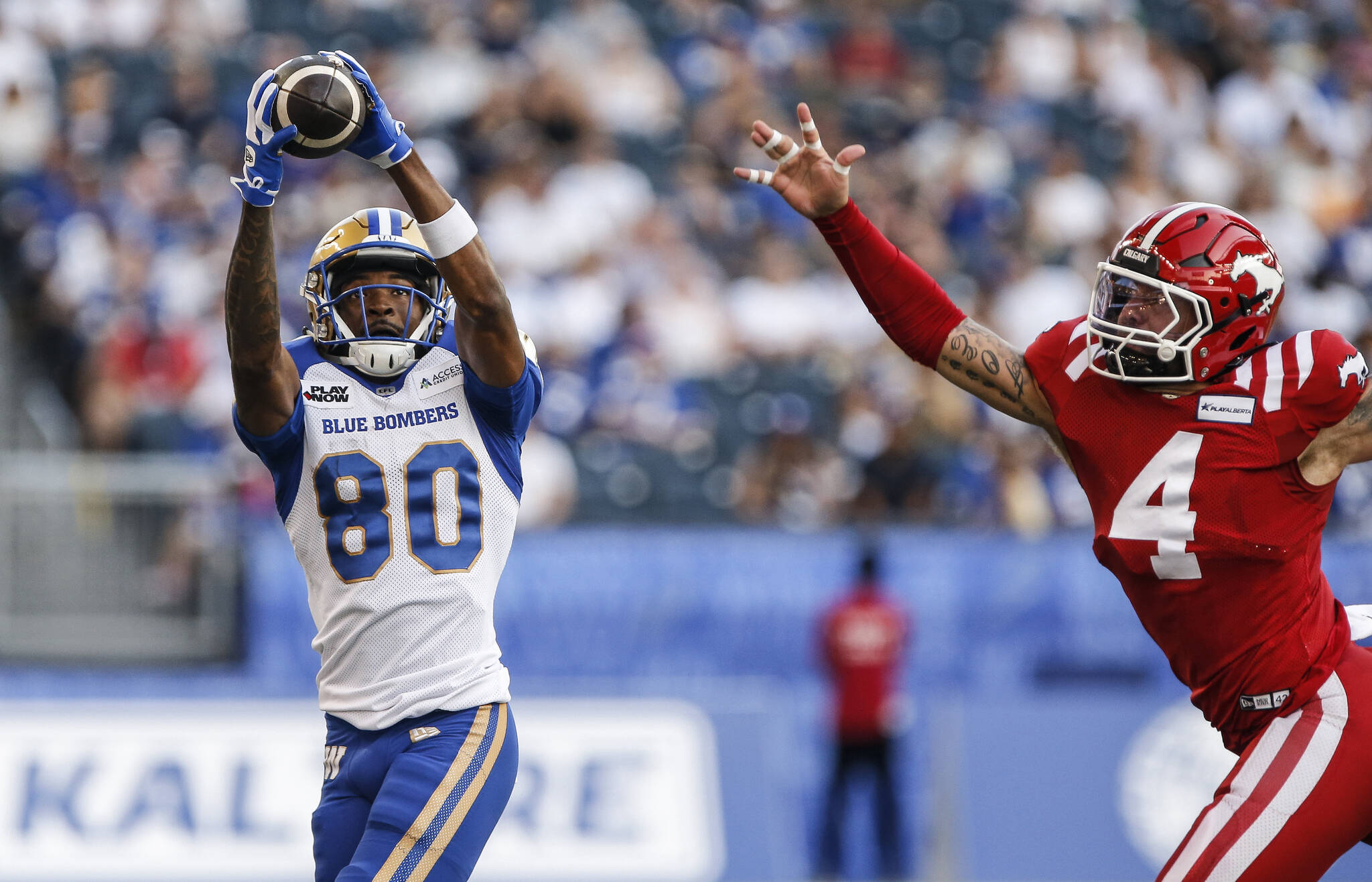 Wilson shines in rookie campaign – Winnipeg Free Press