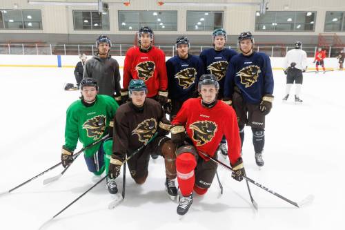 Sports – Winnipeg Free Press