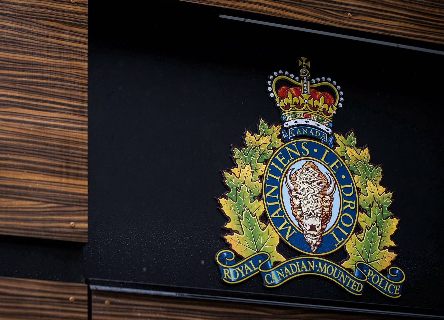 Car went into other lane, caused fatal Trans-Canada Highway crash: RCMP ...