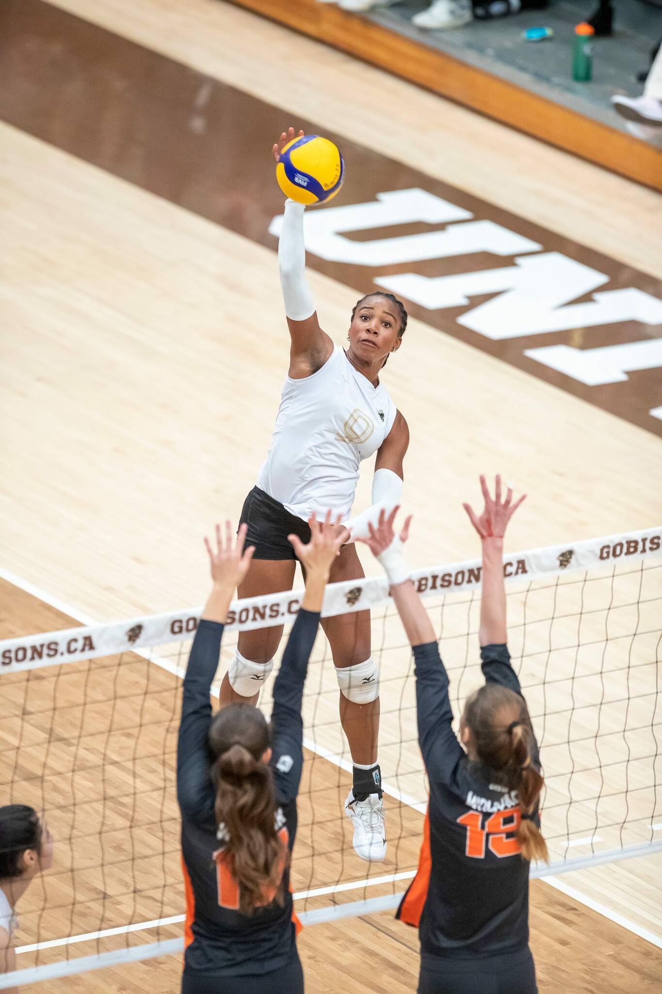 Wolfpack stuns Bisons women – Winnipeg Free Press