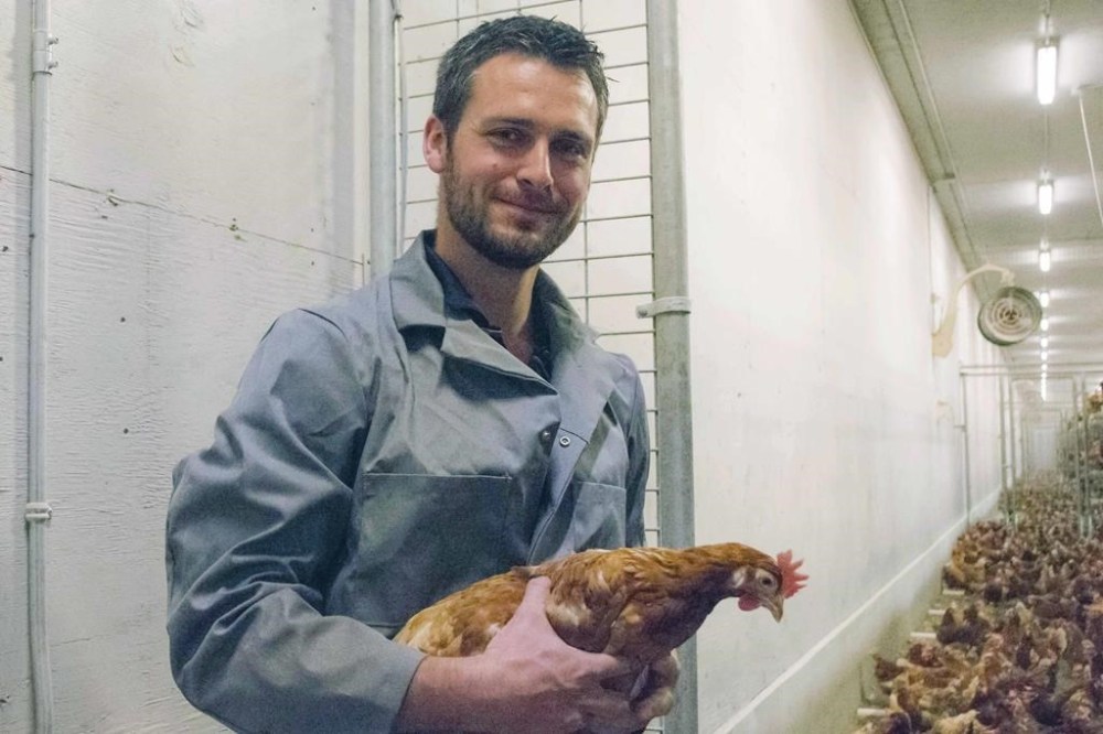 ‘Emotional time’ for B.C. poultry farmers who have to cull thousands of ...