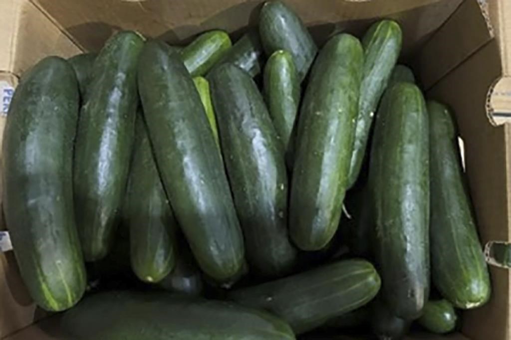 CFIA makes second cucumber recall in less than a week in B.C., Alberta ...