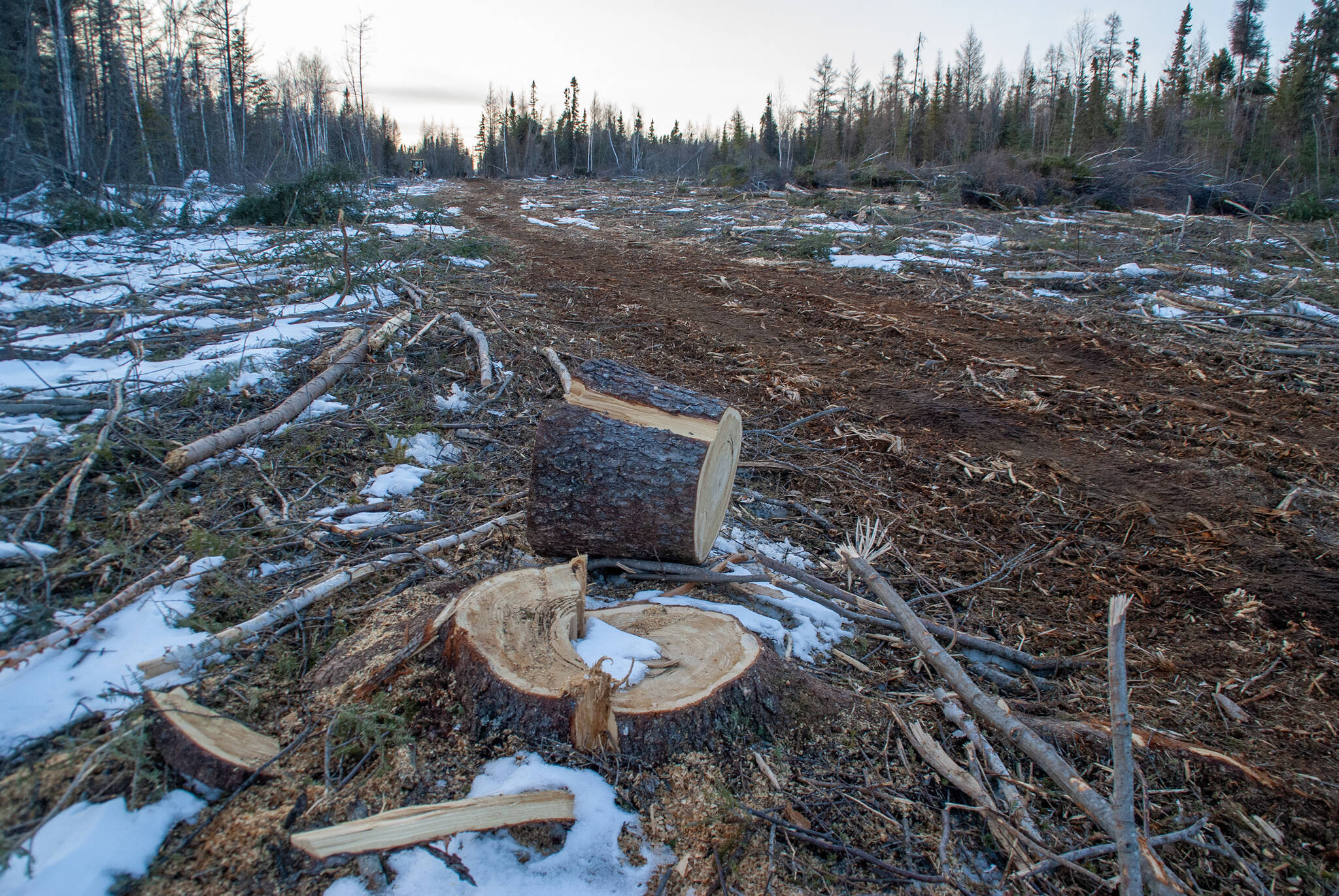 Proposed peat mine near Lake Winnipeg sparks concern – Winnipeg Free Press