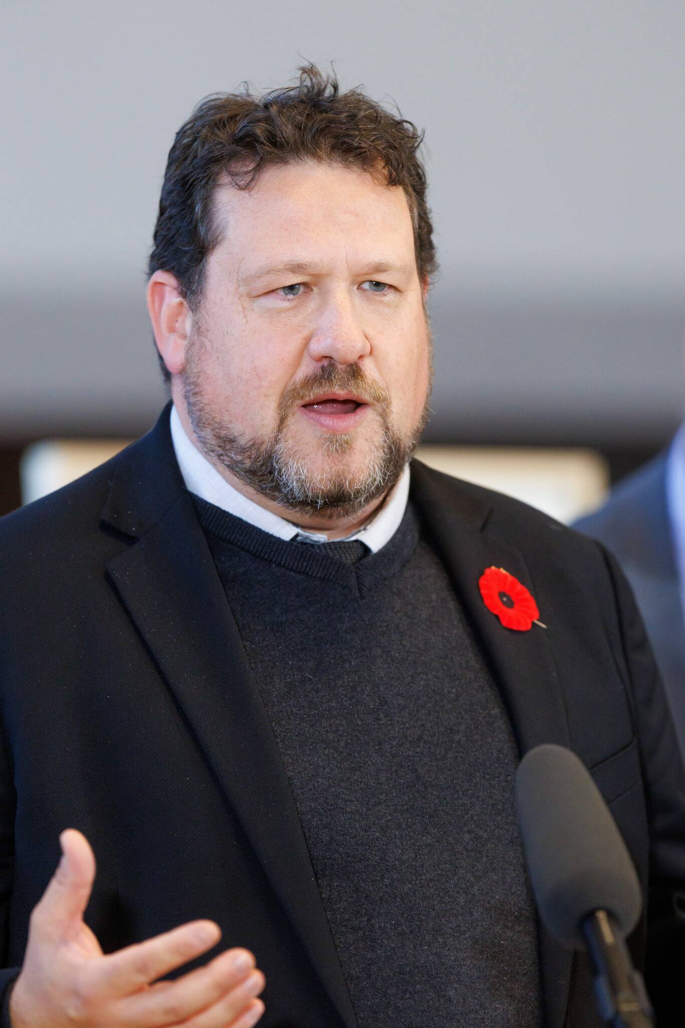 NDP re-introduces bills to reduce development delays, let ...