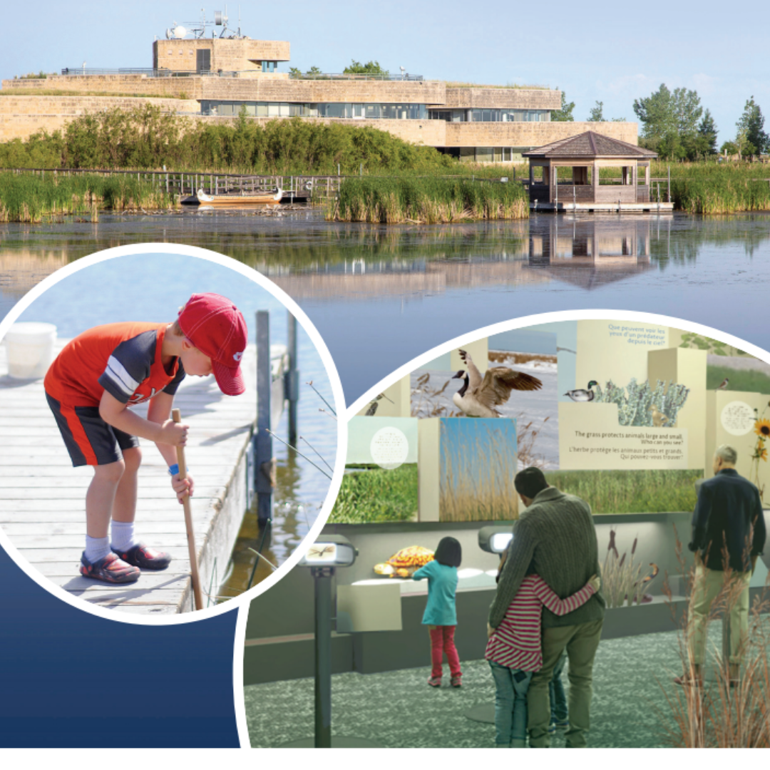 Re-Envisioning the Harry J. Enns Wetland Discovery Centre – Winnipeg ...