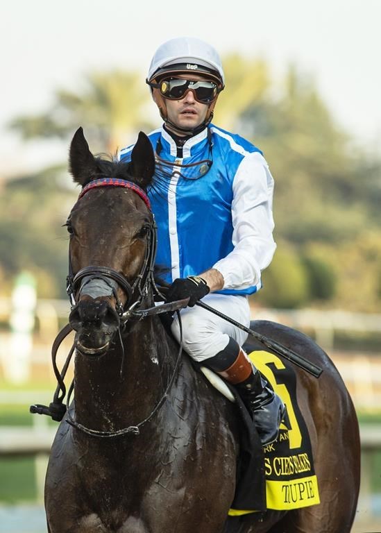 Filly Thorpedo Anna wins Horse of the Year at the Eclipse Awards ...