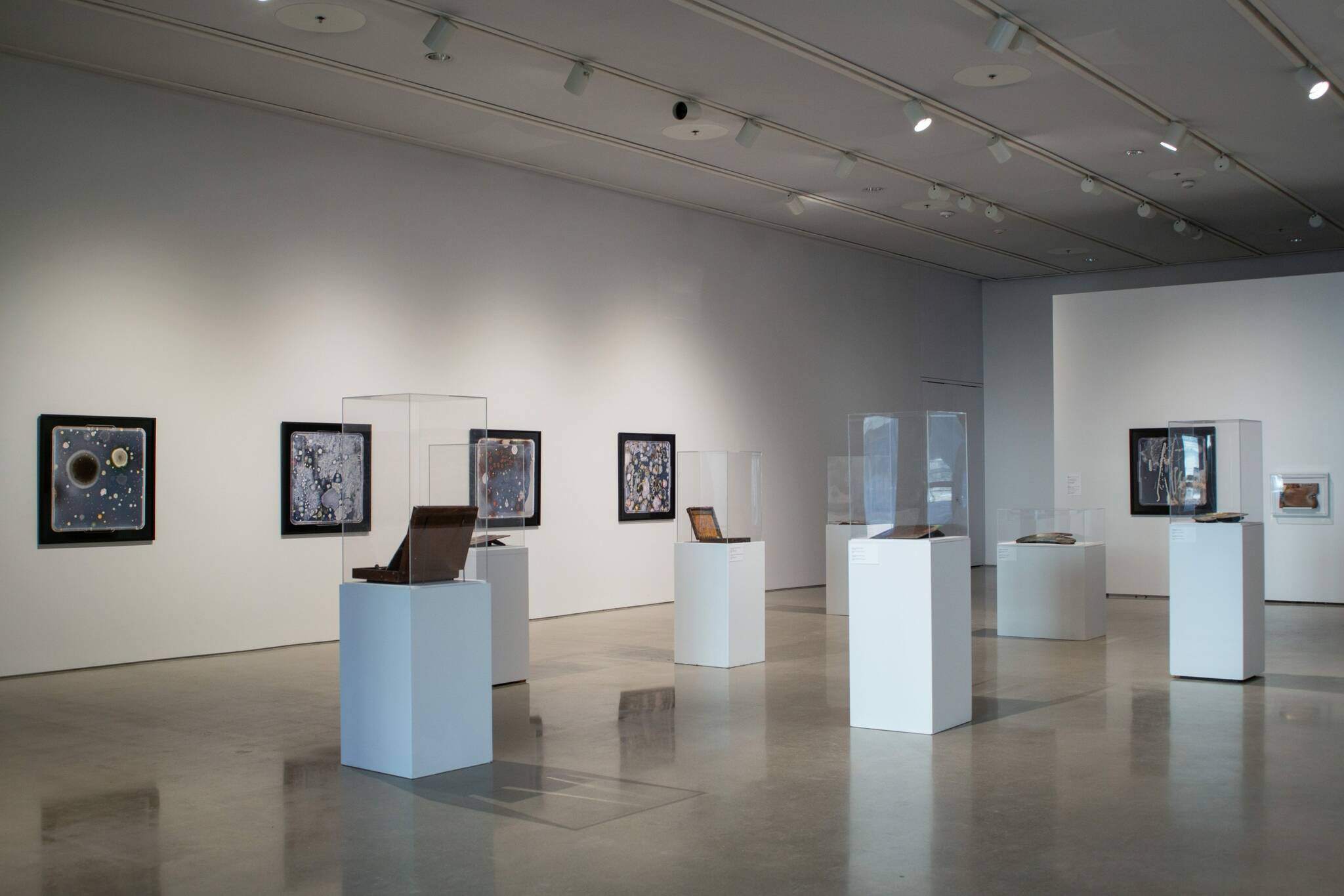 Microbial legacy of Group of Seven – Winnipeg Free Press