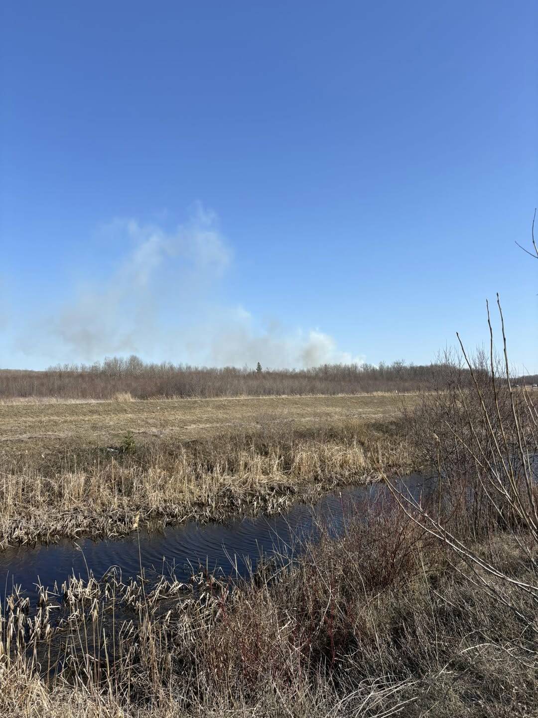Evacuated Traverse Bay residents return home after grass fire ...