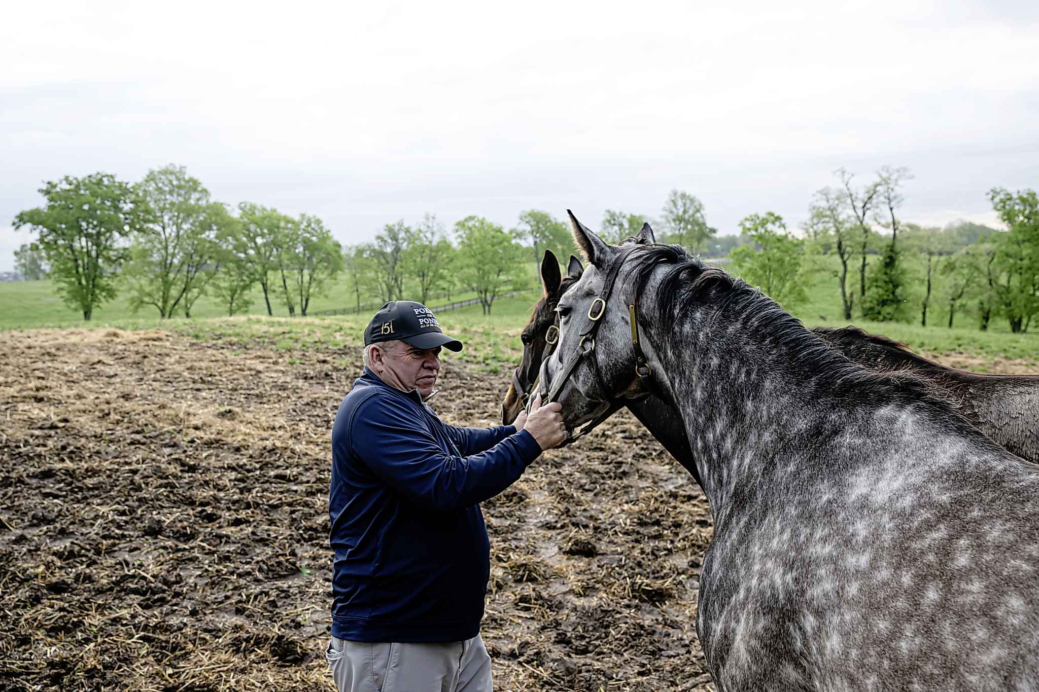 Horses on a Kentucky farm are helping men build sober lives, gain work ...