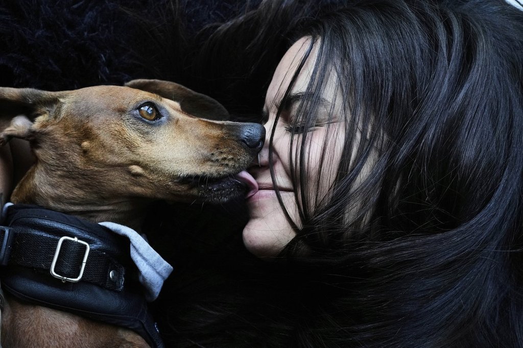 As more Argentines go childless, pampered dogs become part of the ...