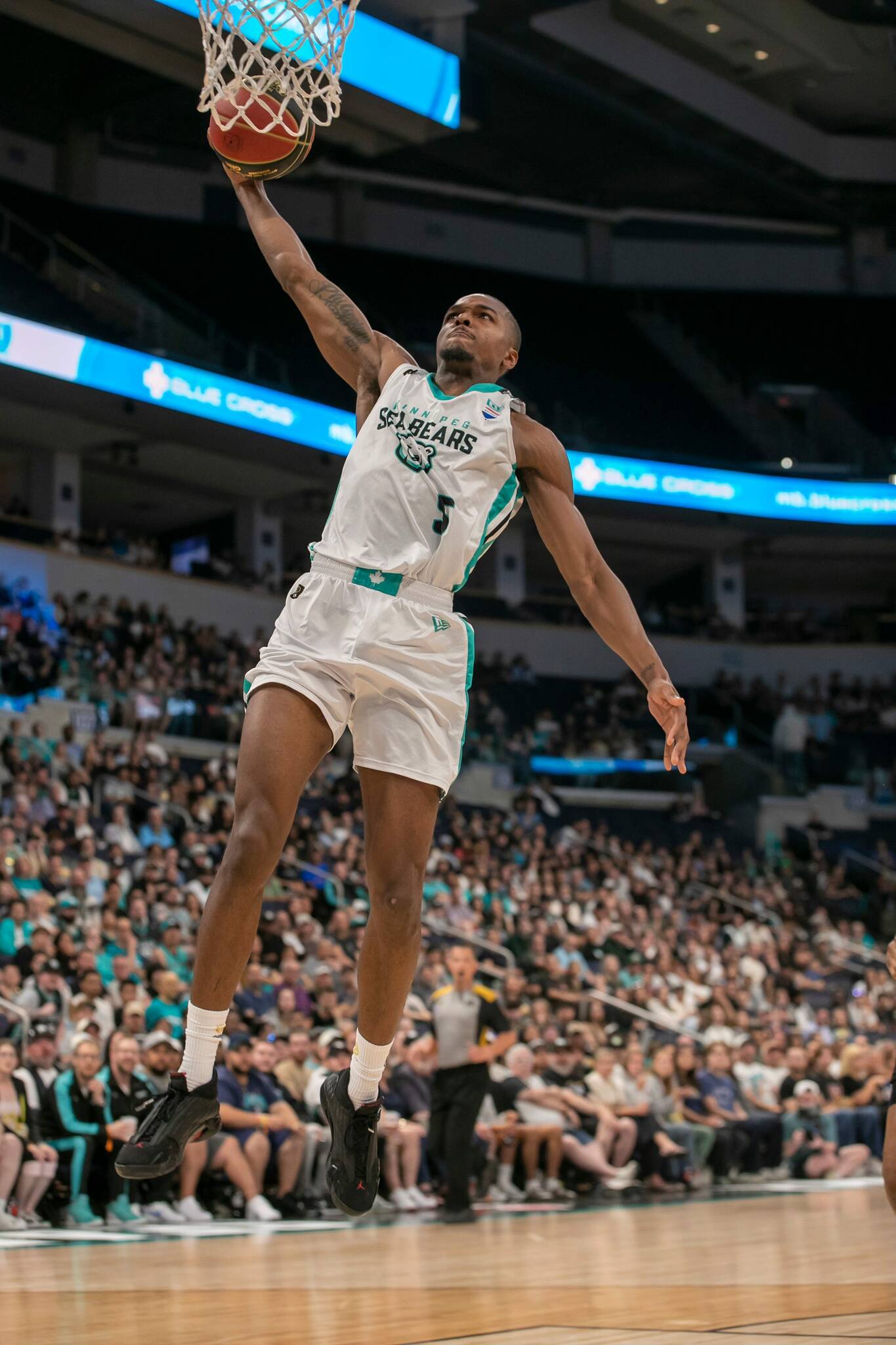 Sea Bears bounce back on the road – Winnipeg Free Press