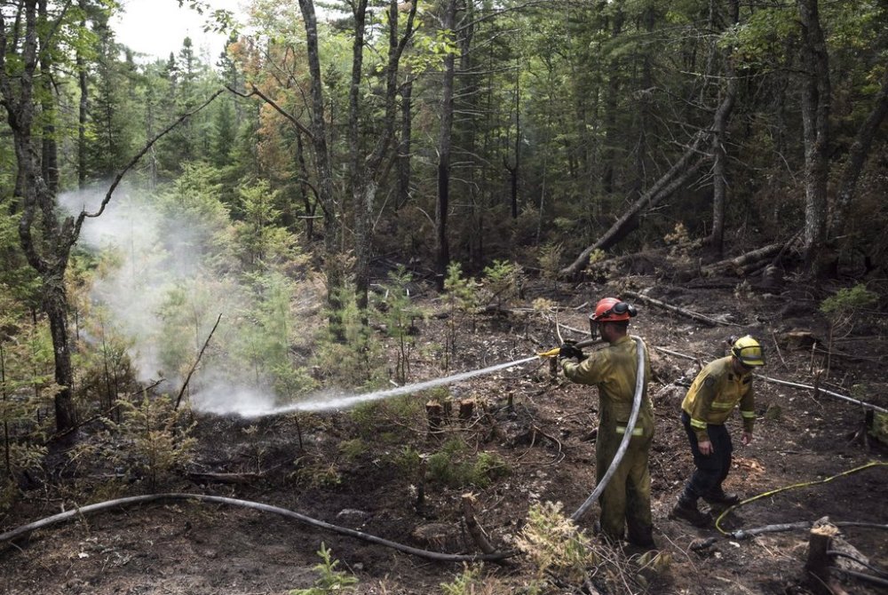 Some residents allowed to return after forest fire in Halifax area ...