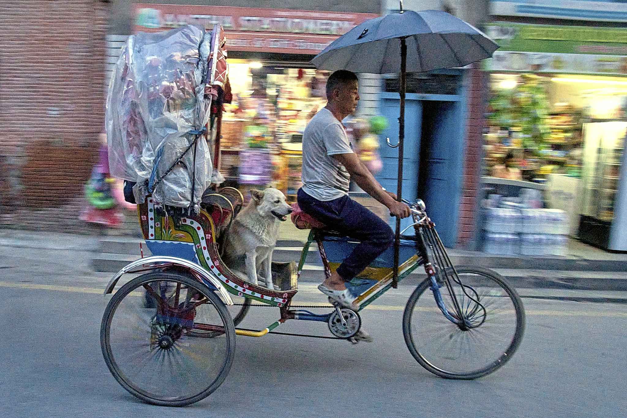 A rickshaw driver and his dog are winning hearts in Nepal’s Kathmandu ...