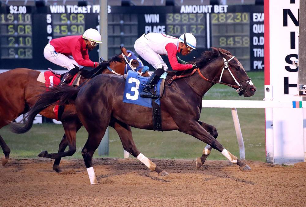 Take Tom Charge the horse to beat – Winnipeg Free Press