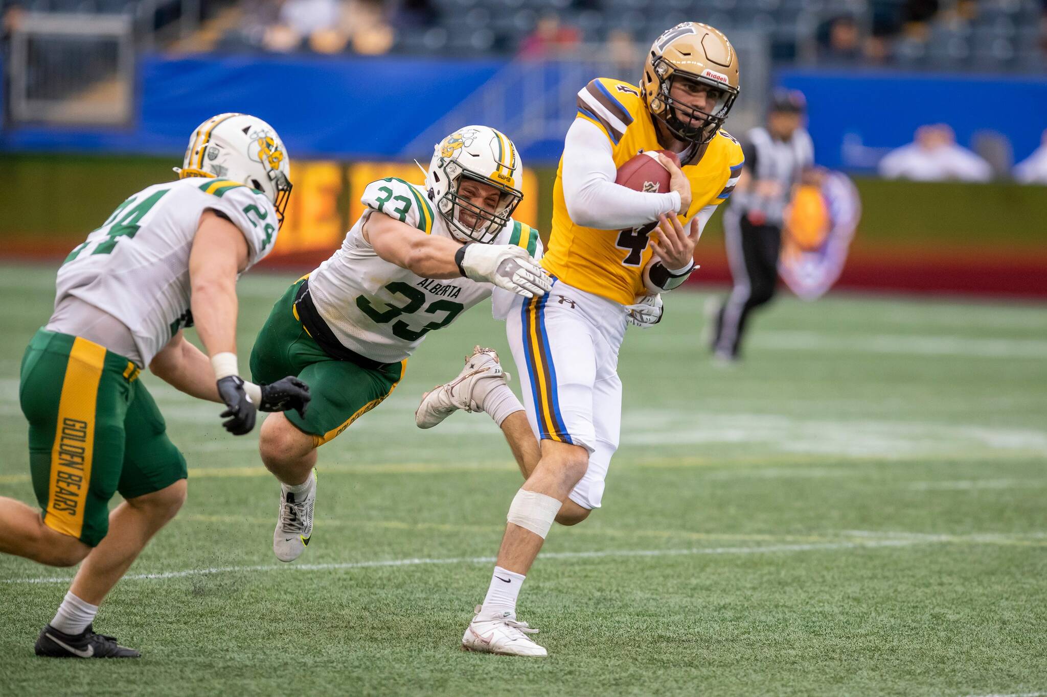 Action Jackson on a roll – Winnipeg Free Press