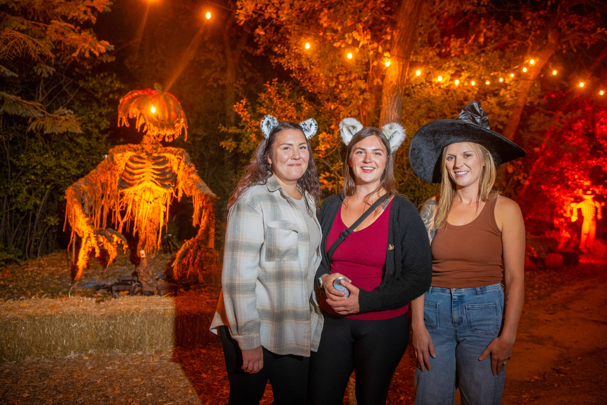 What’s up: Celebrating Halloween – Winnipeg Free Press