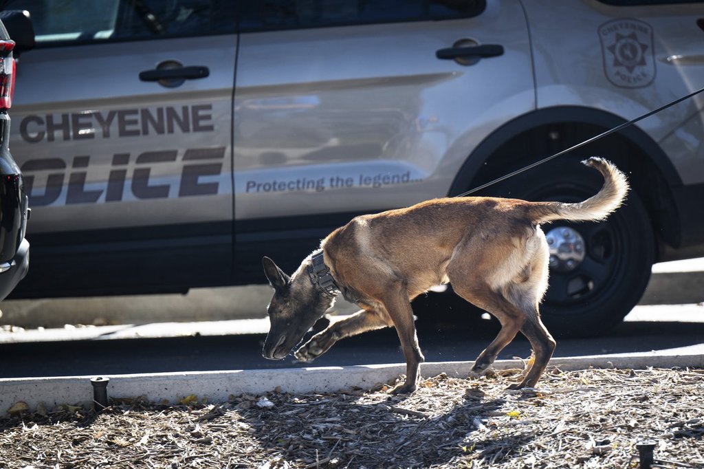 Suspected explosive device found and brought indoors prompts Wyoming ...
