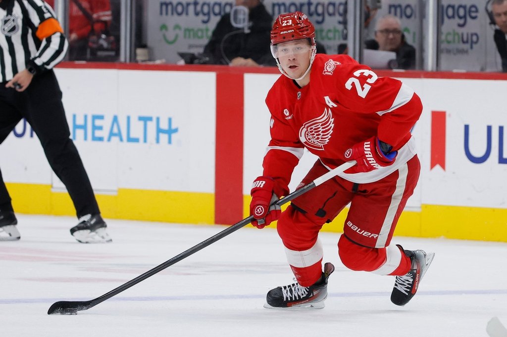 Raymond scores tiebreaking goal in 3rd period as Red Wings beat Rangers ...