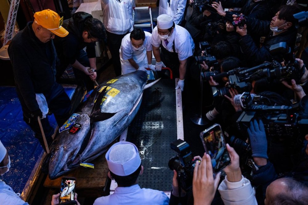 That’s some pricey fish: A glimpse into Japan’s New Year’s tuna auction ...