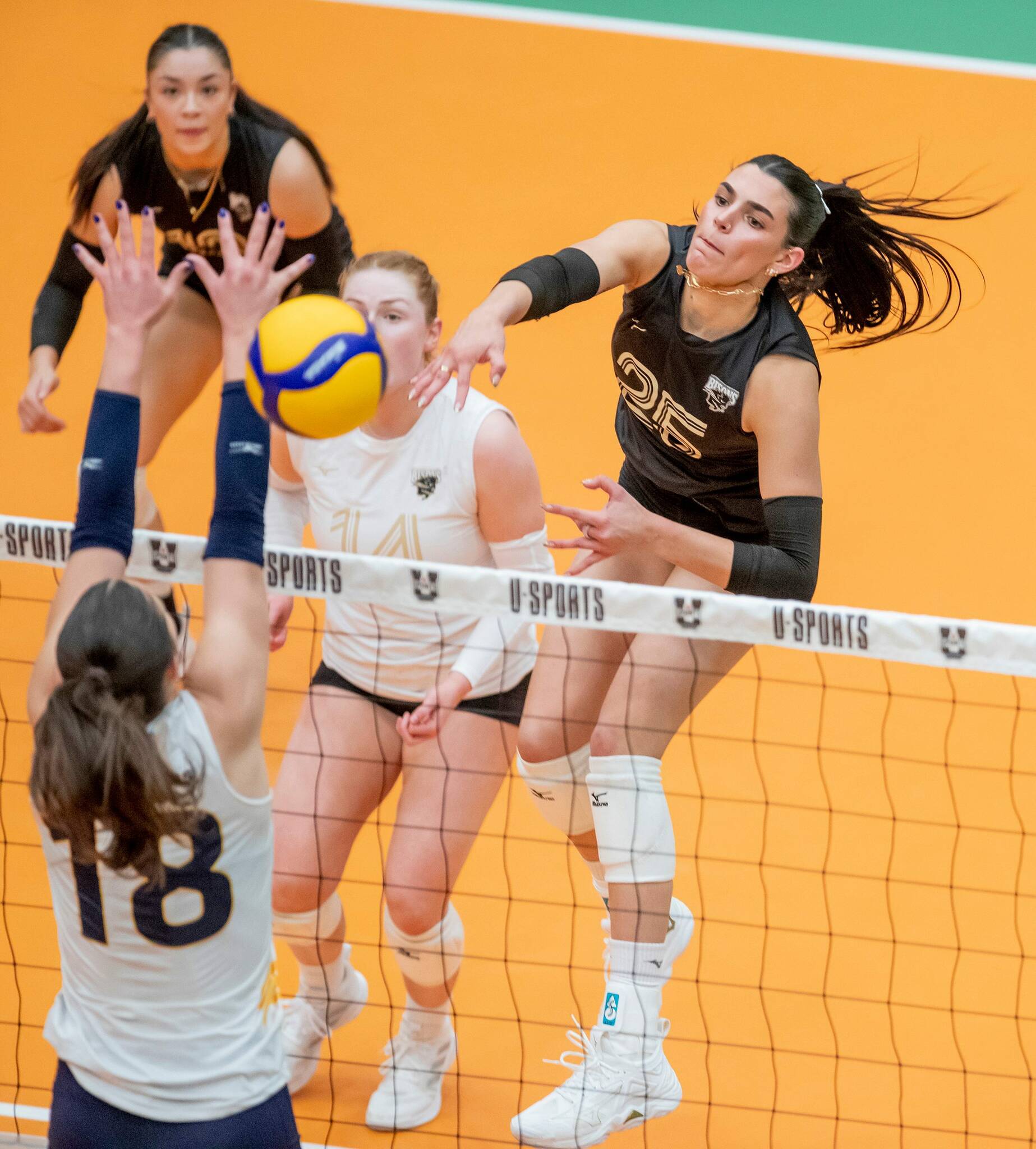 Manitoba Miracle tops poll – Winnipeg Free Press