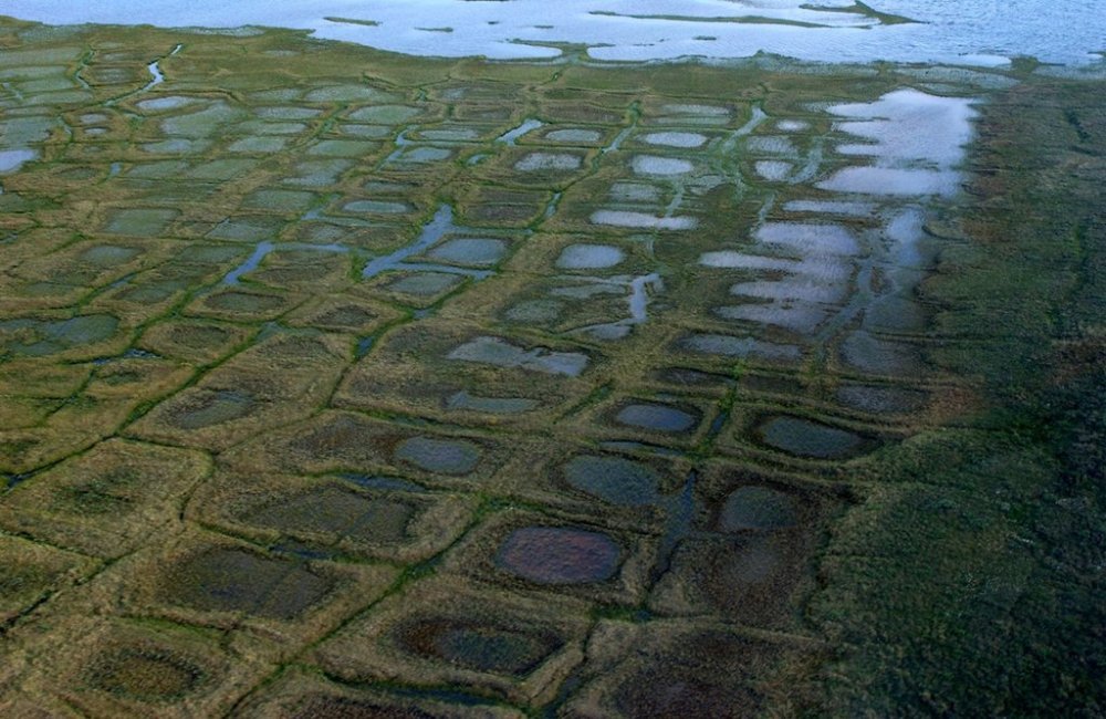 Winter drilling program in Alaska petroleum preserve can proceed, judge ...