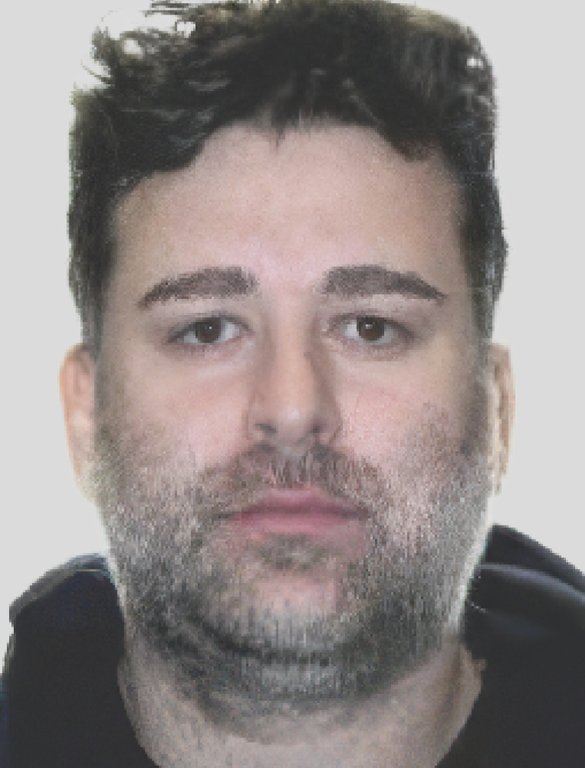Proposed sureties pledge $1.2M in bail for man accused in Ryan Wedding ...