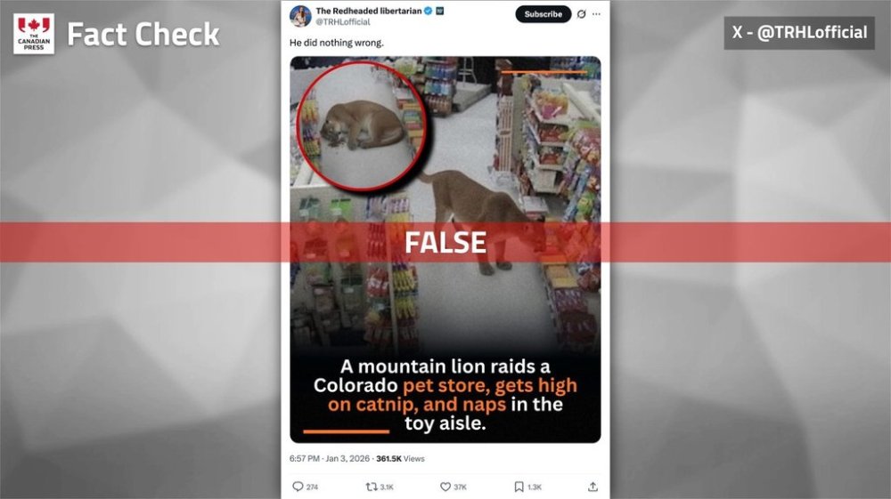 Fact File: Canadian store’s security photo manipulated to show mountain ...