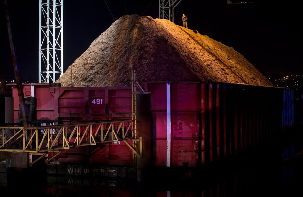 First Nations-owned Vancouver Island wood chip plant set to close in ...