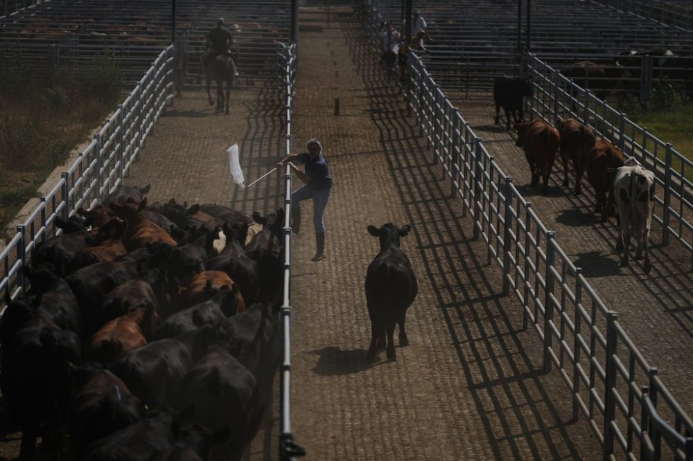 Forget tariff wars: The EU and Mercosur build one of the world’s ...