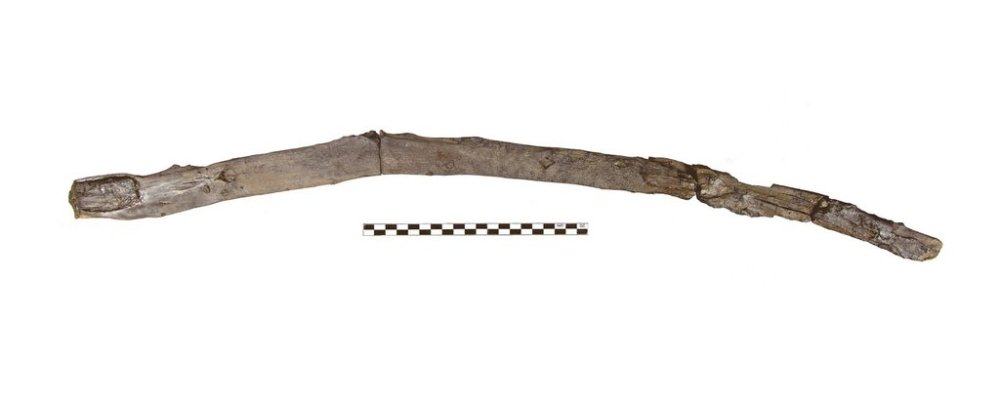 Scientists recover the oldest wooden tools from a site in Greece ...
