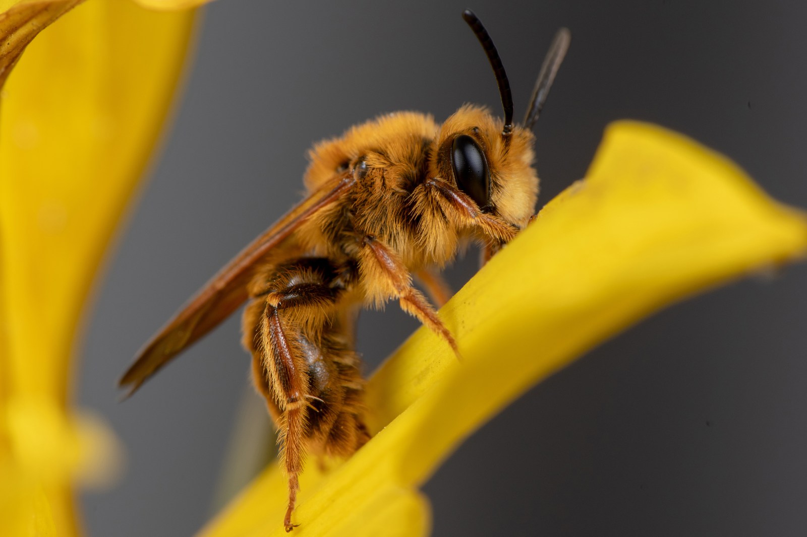 A California photographer is on a quest to photograph hundreds of ...
