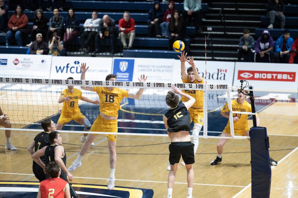 Bisons’ men cruise into final four at v-ball nationals – Winnipeg Free ...