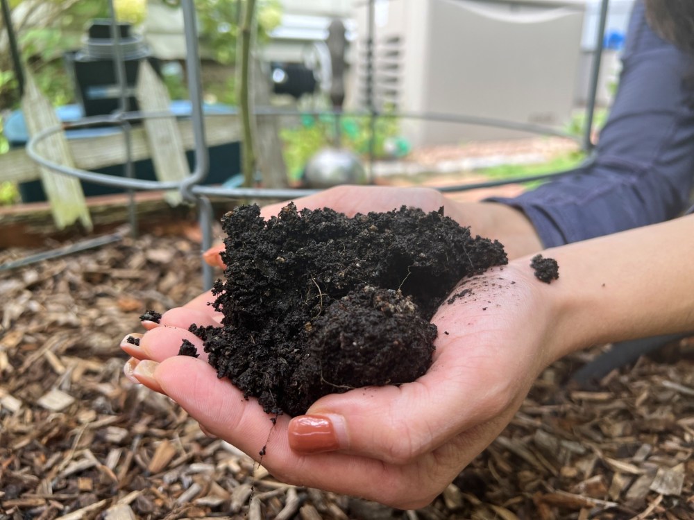 Soil is the foundation of your garden. Keep it healthy! – Winnipeg Free ...