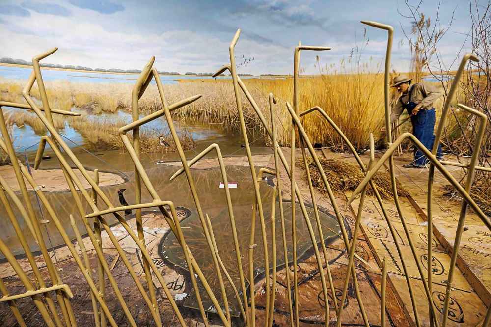 The final harvest – Winnipeg Free Press