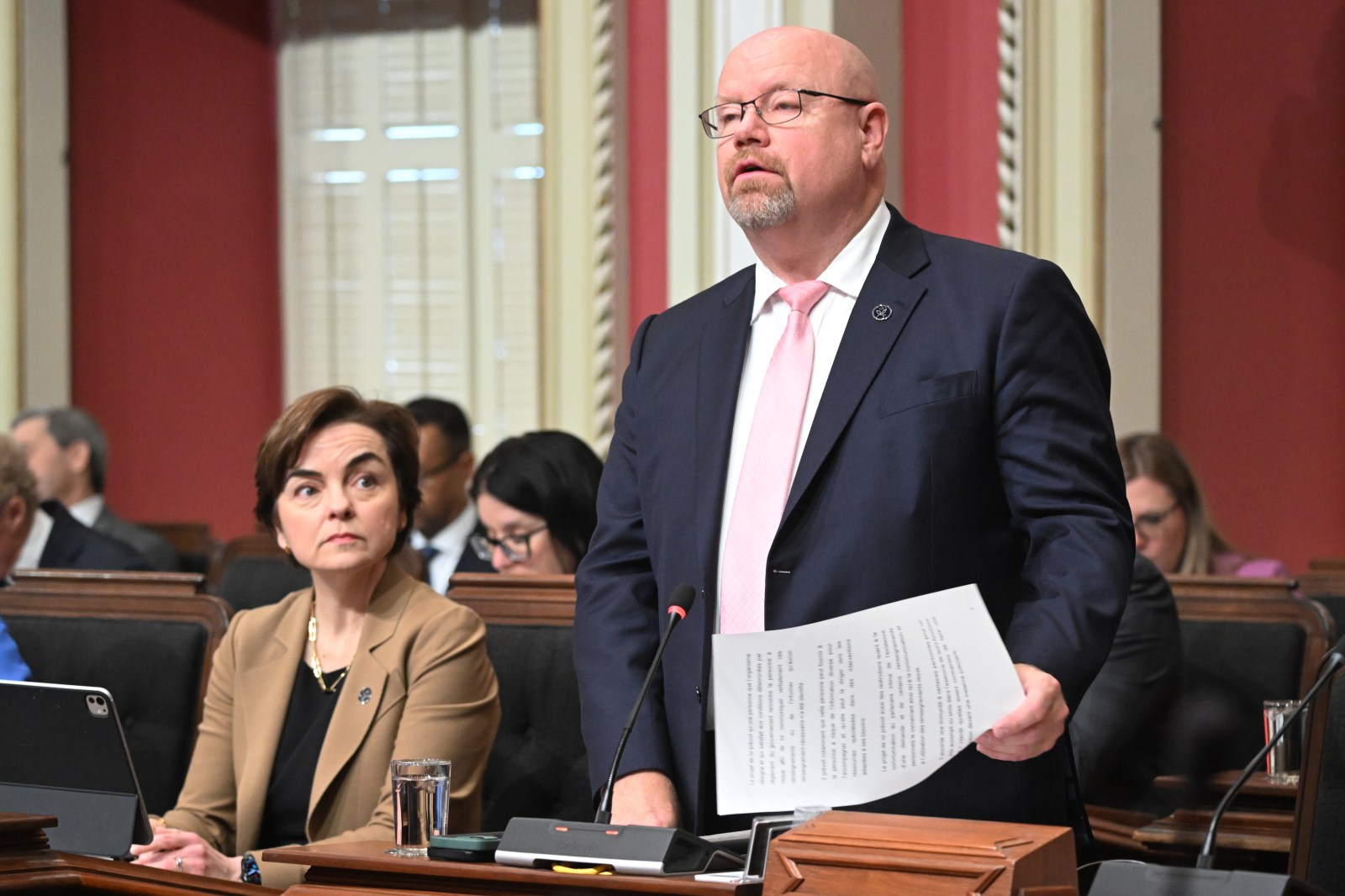 Quebec tables bill allowing people to obtain domestic violence history ...
