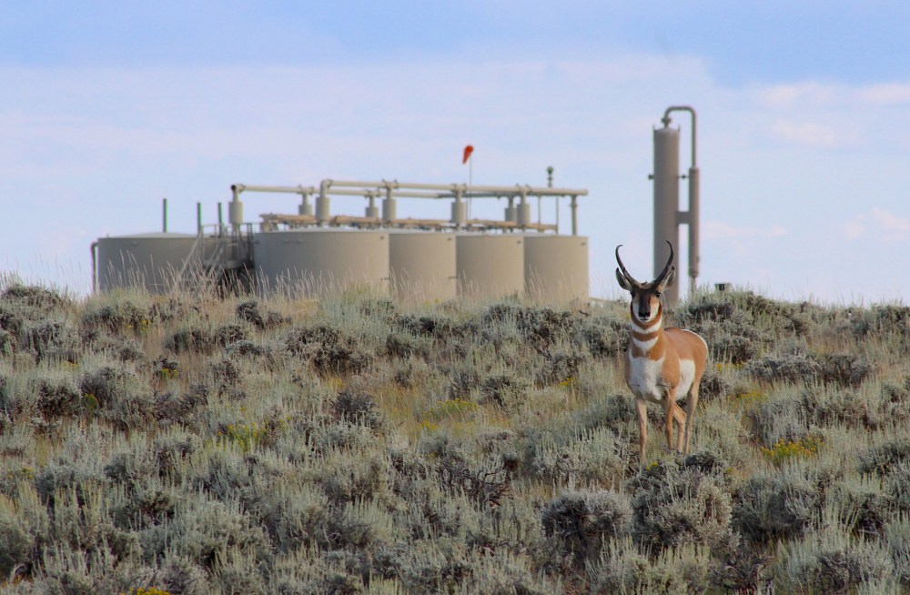 Wyoming’s ‘Path of the Pronghorn’ is a signature away from protections ...