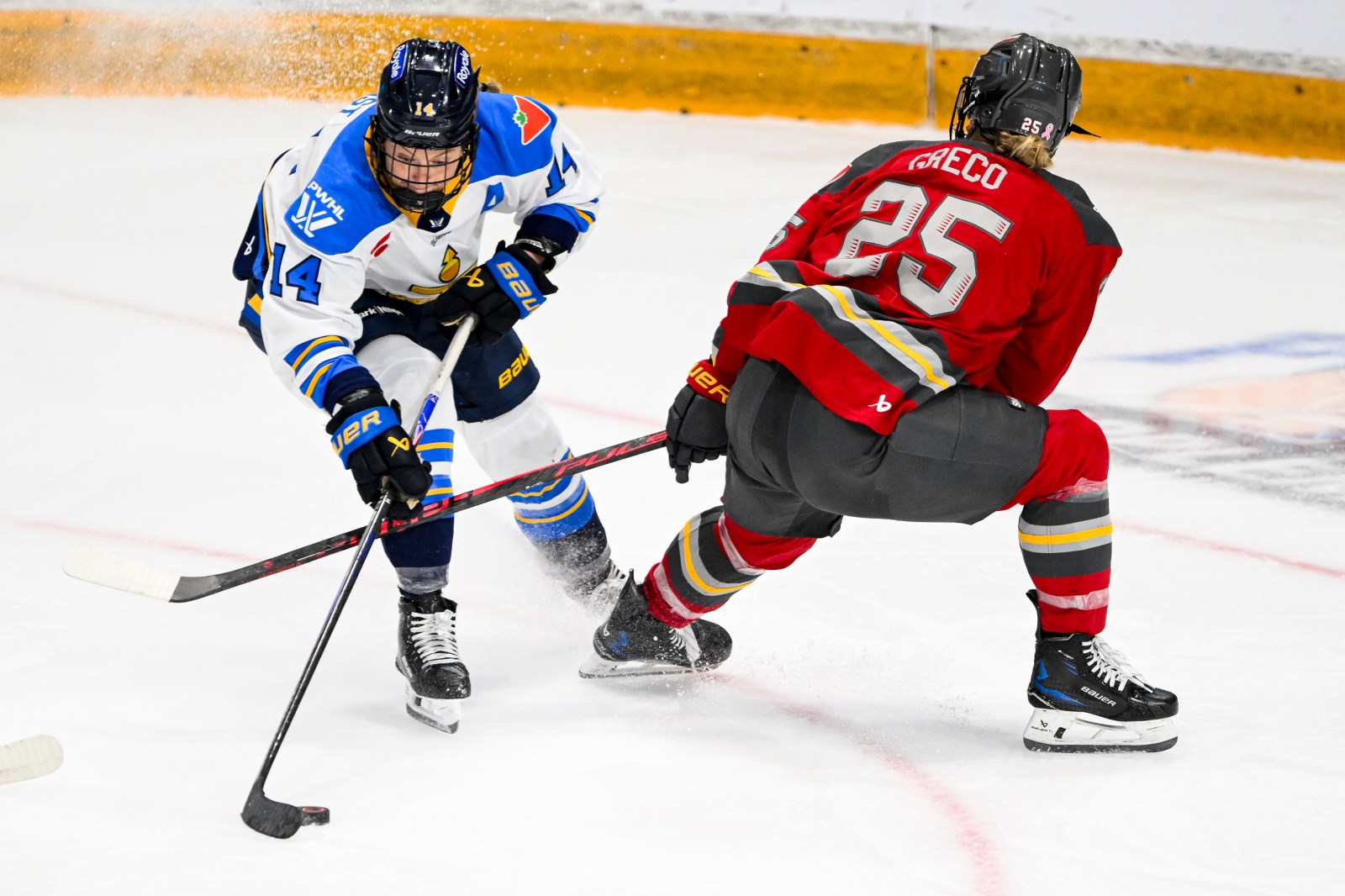 Sceptres sign defender Fast to three-year contract ahead of PWHL ...
