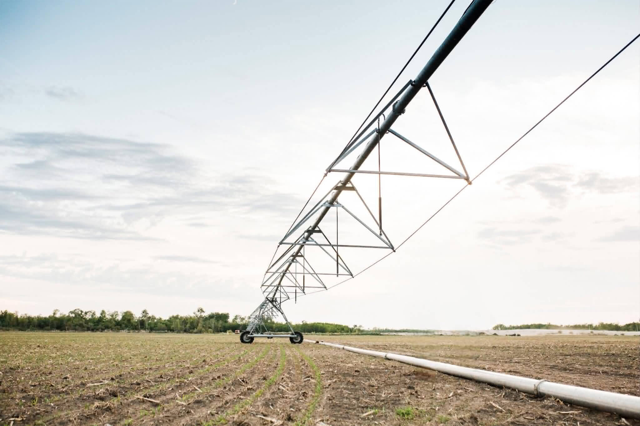 Farmers miffed after thieves steal copper wiring from irrigation ...